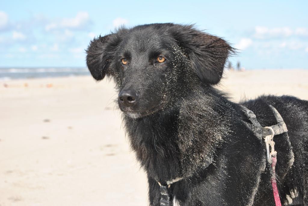 Vermittlungshilfe - BMT Pfullingen